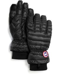 Canada Goose Gloves | Lyst™