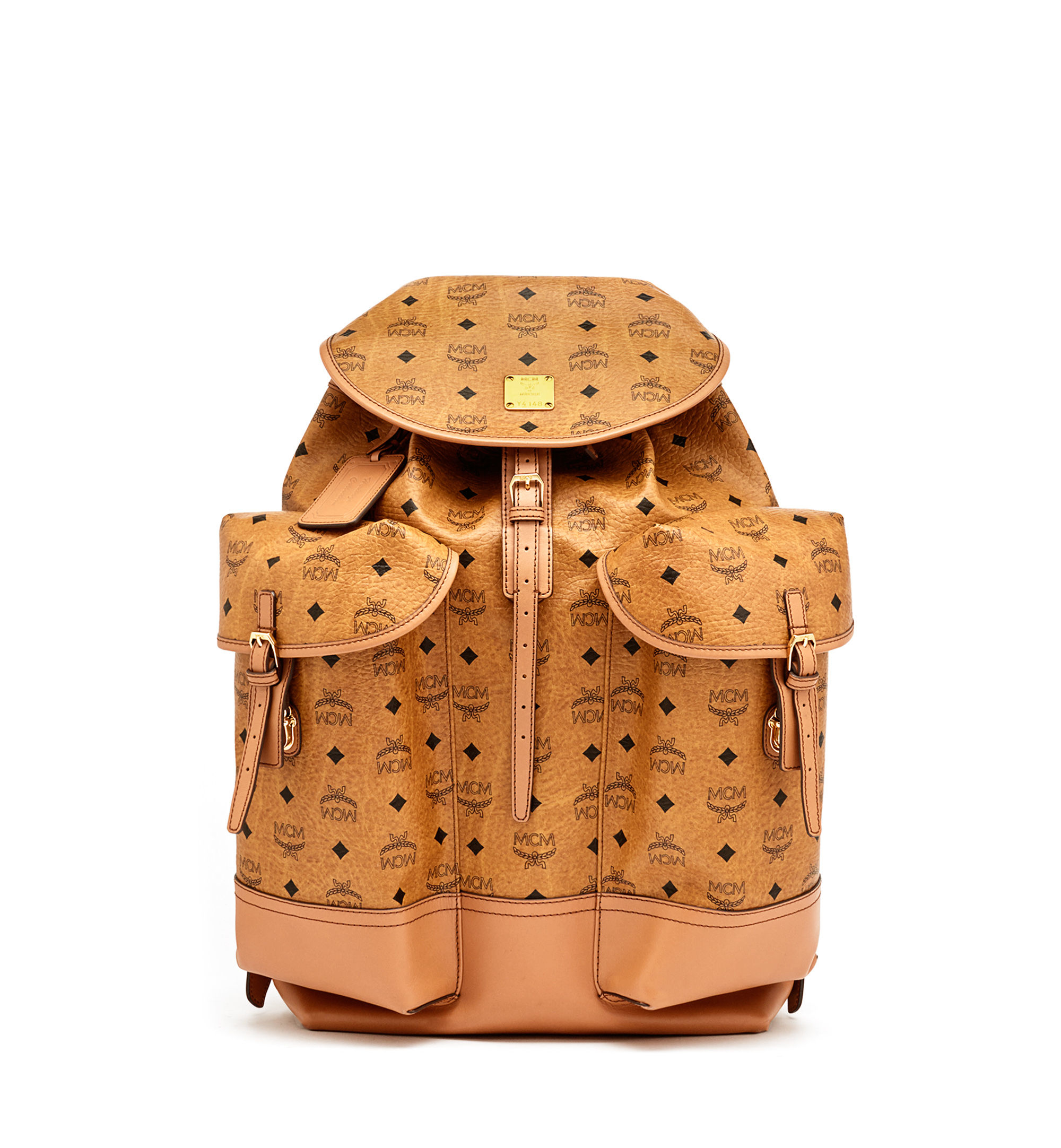 Blue And Brown Mcm Backpack | IUCN Water